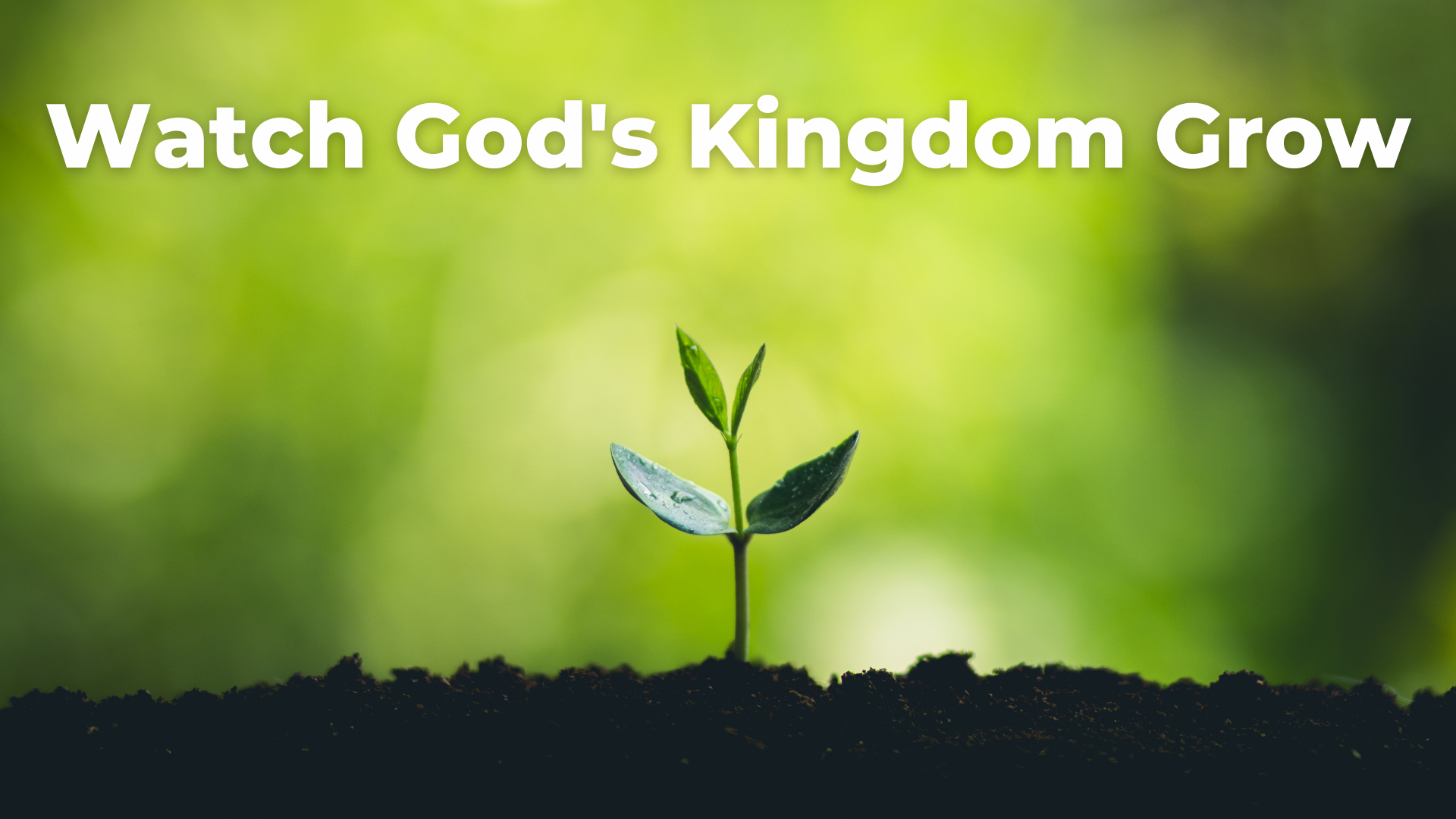 Watch God's Kingdom Grow - Faithlife Sermons Watch God's Kingdom Grow - Faithlife Sermons