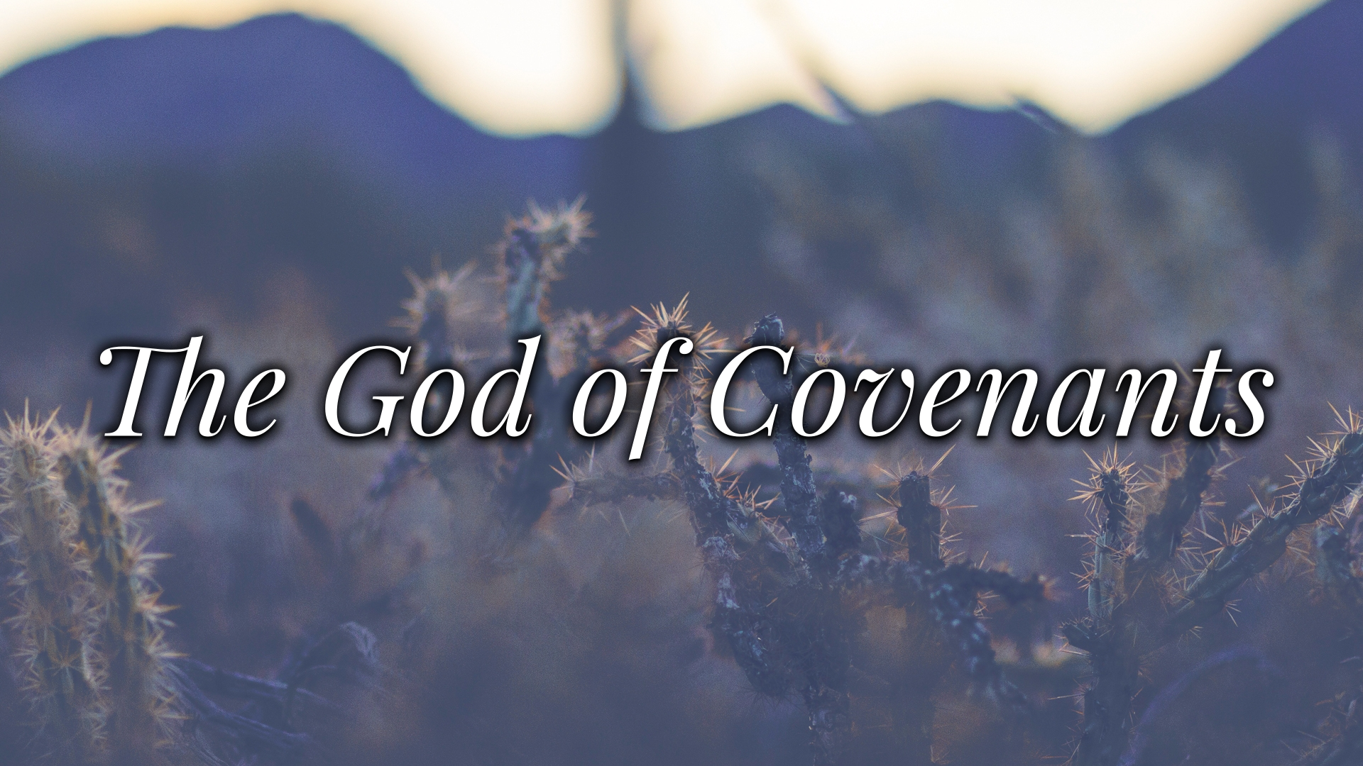 A New Identity in the Covenant - Logos Sermons