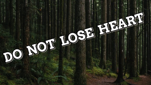 Do Not Lose Heart - Logos Sermons