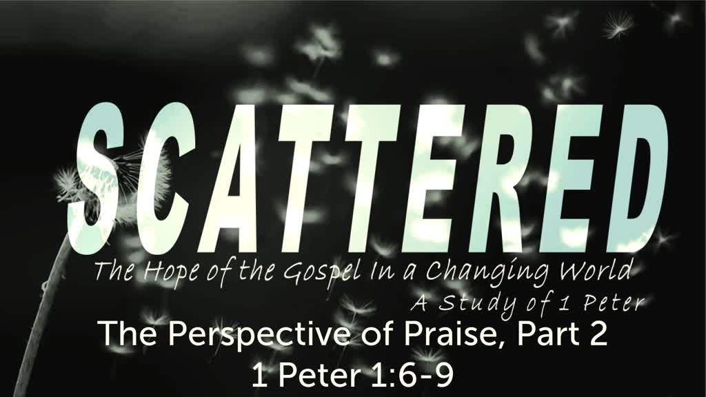 Week 5 Logos Sermons
