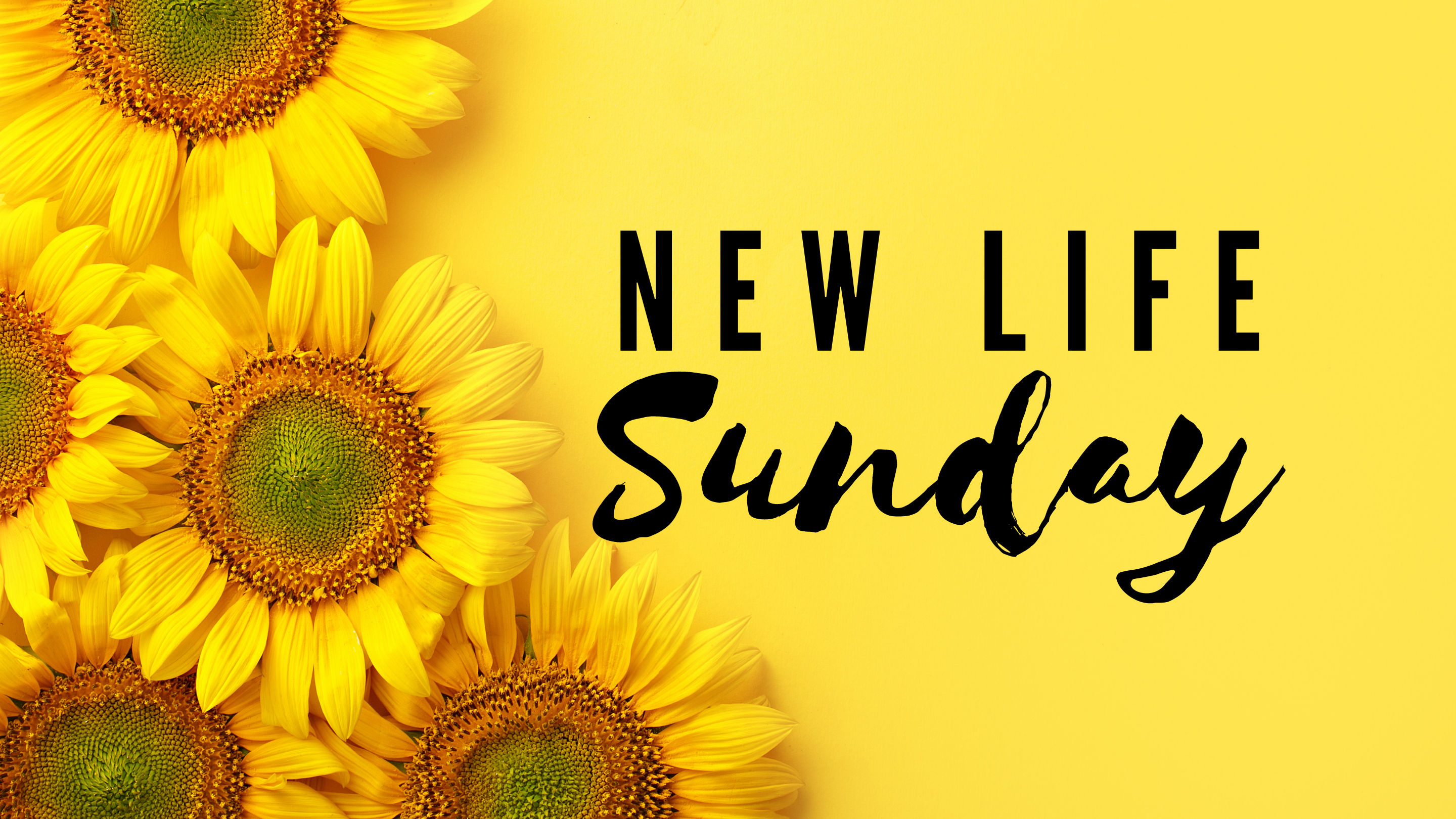 New Life Sunday - Logos Sermons
