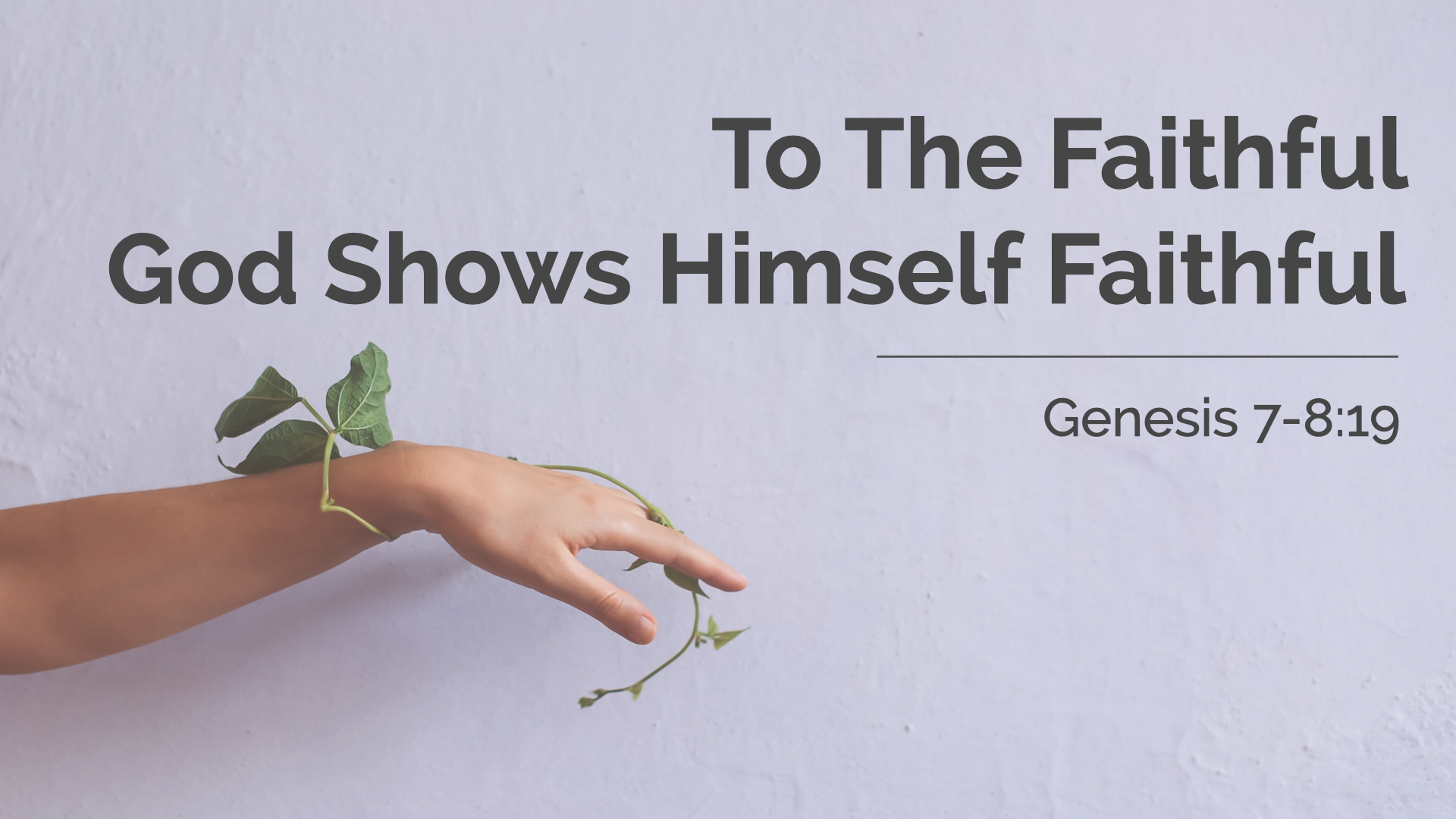 To The Faithful God Shows Himself Faithful | Genesis 7-8:19 | 16 May ...