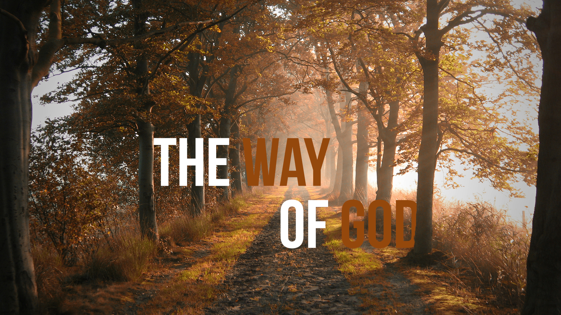 The Way of God - Logos Sermons