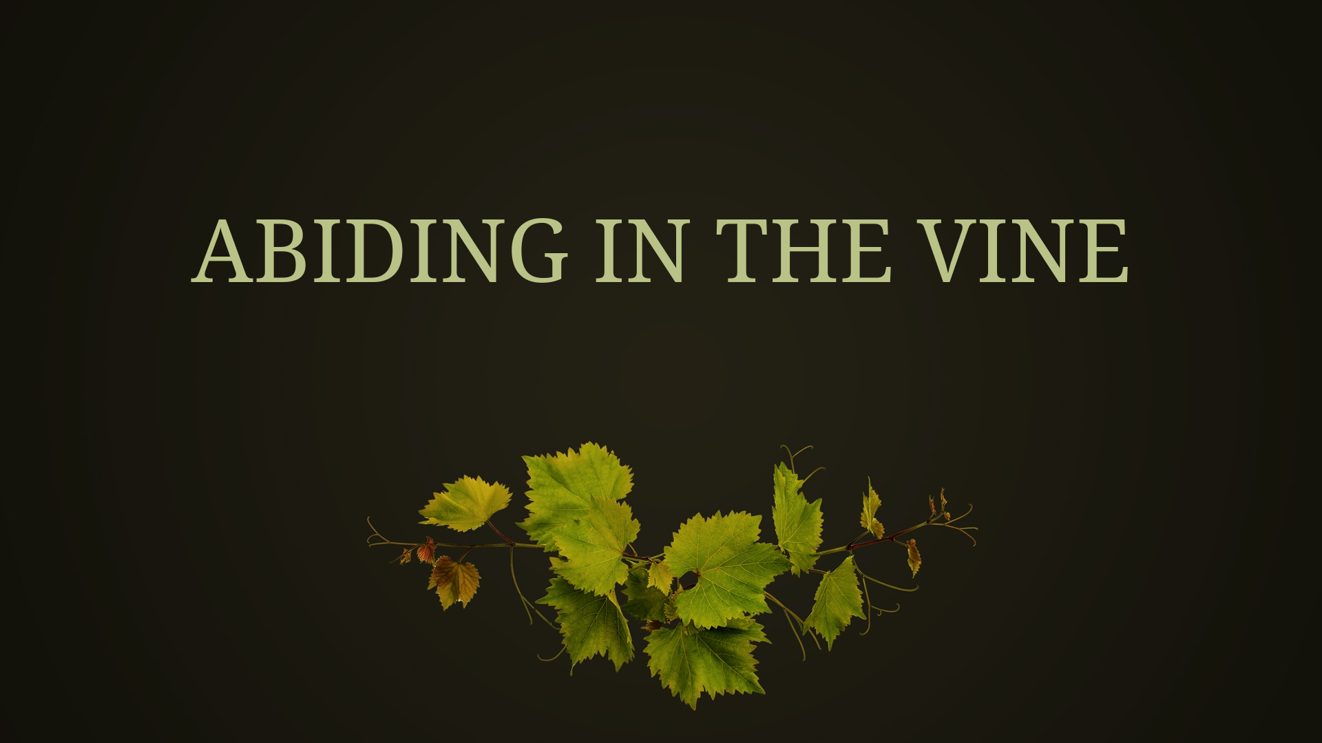 Abiding in the Vine - Logos Sermons