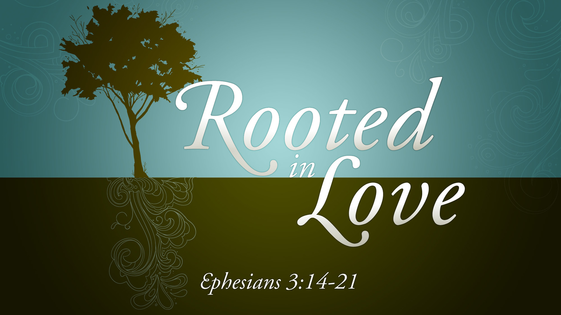 Rooted in Love - Logos Sermons