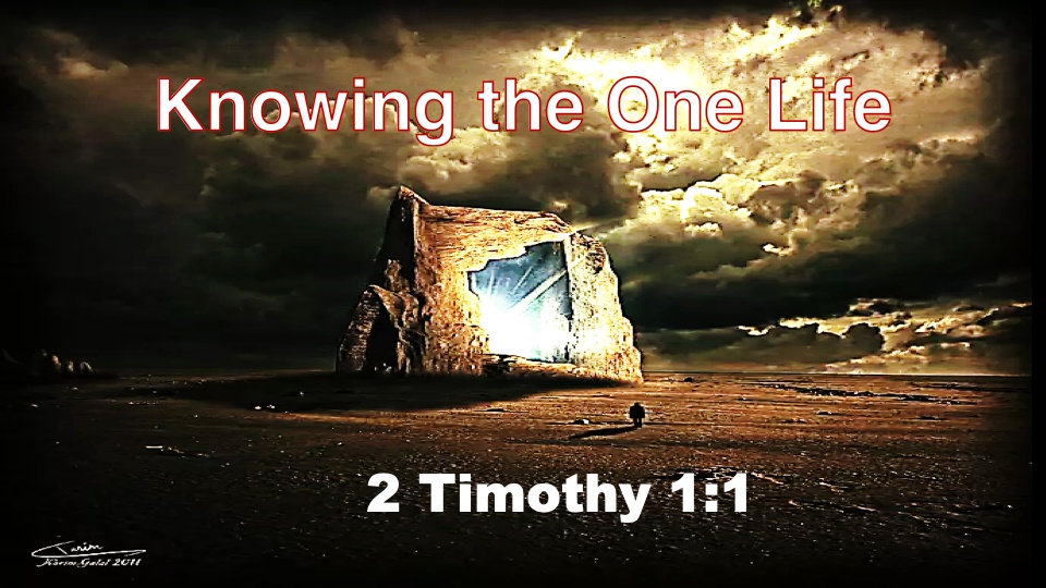 One Life - Logos Sermons