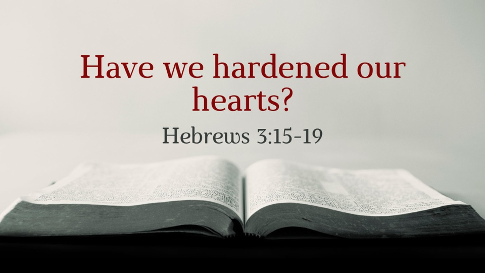 Our Great High Priest - Logos Sermons