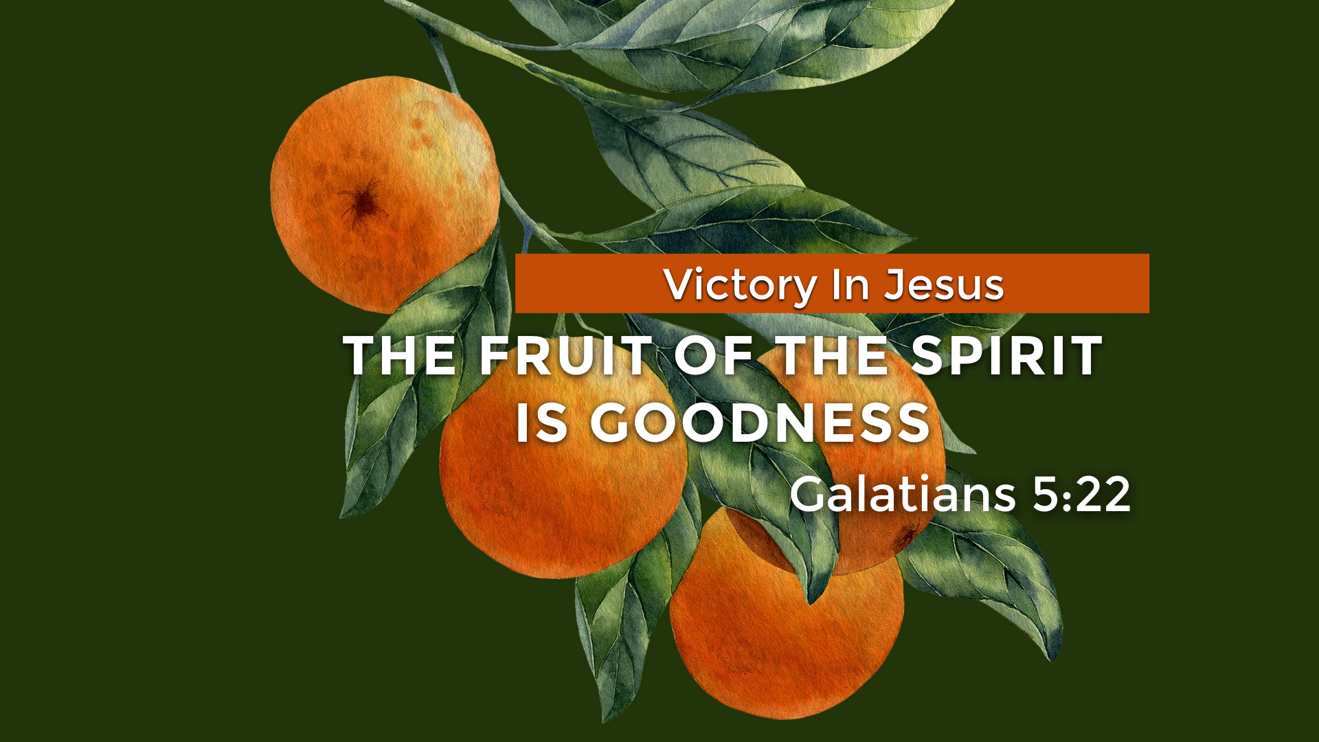The Fruit Of The Spirit Is Goodness - Logos Sermons