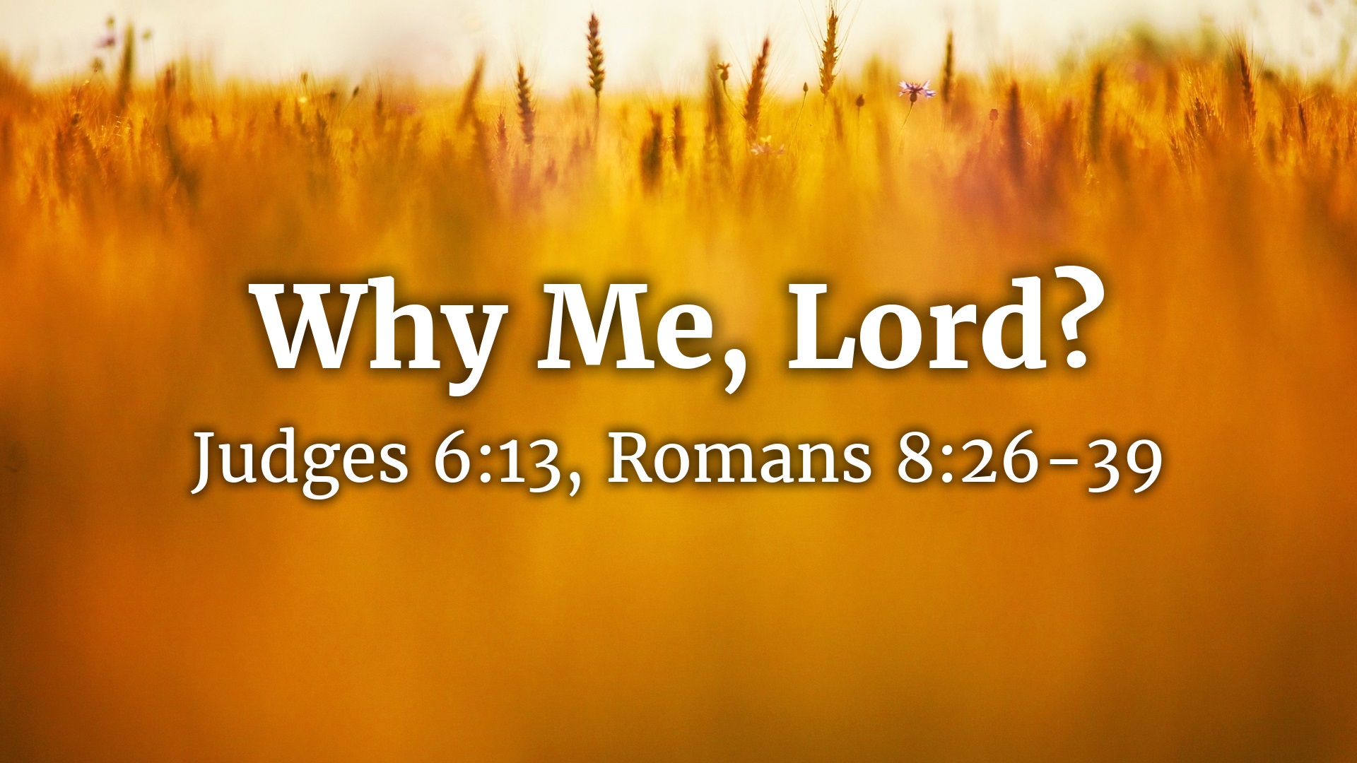 Why Me, Lord? - Aug. 22nd, 2021 - Logos Sermons