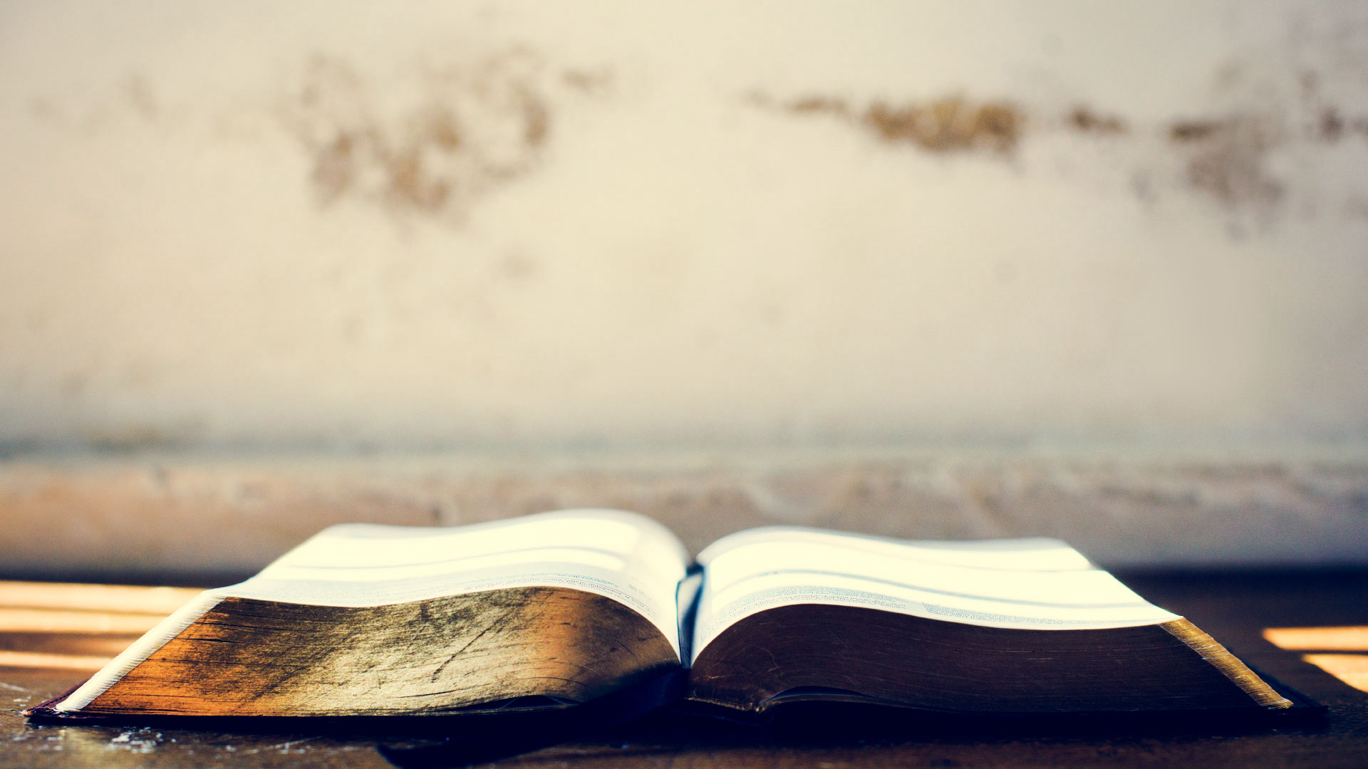 The Two Witnesses Logos Sermons