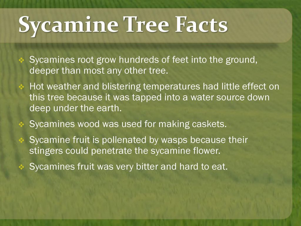 Michael Eric Plyler posted in College Park Baptist Church - Faithlife