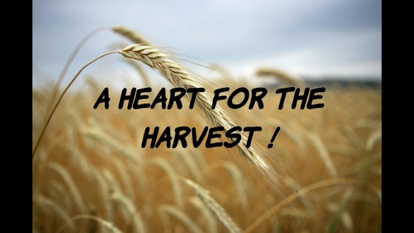 Sunday September 5 2021 Logos Sermons