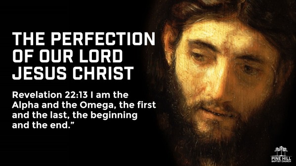 The Perfection of Our Lord Jesus Christ - Logos Sermons