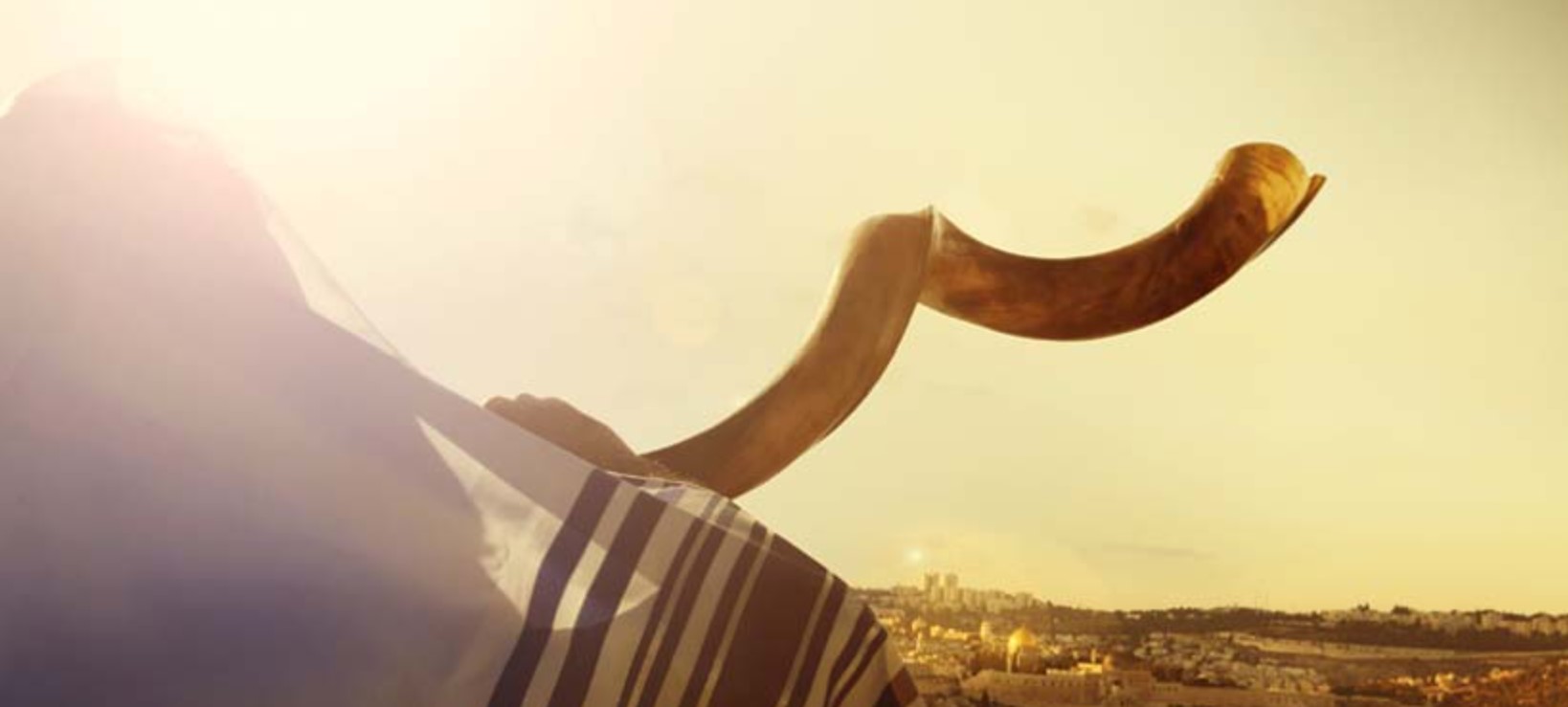 Netser of Hope posted - Faithlife