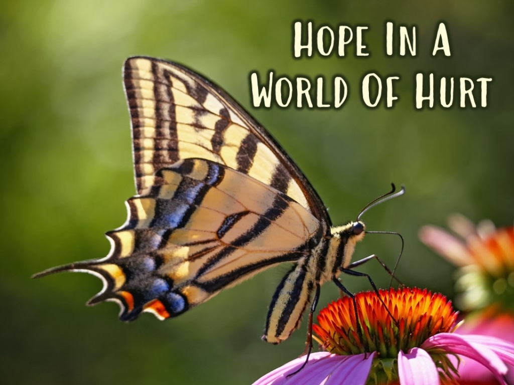 Hope In A World of Hurt - Logos Sermons