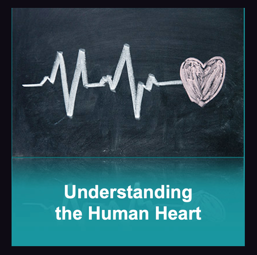 Understanding the Human Heart - Logos Sermons