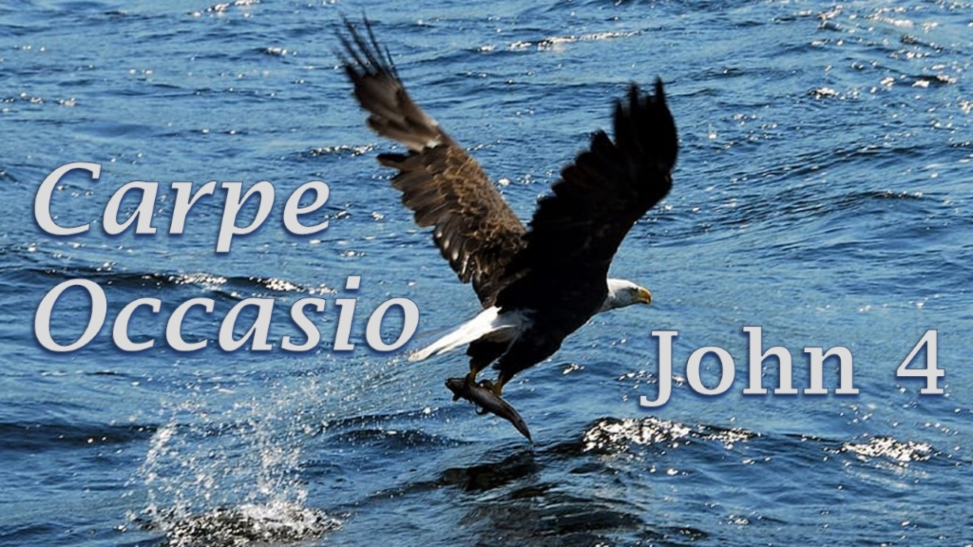 Carpe Occasio - Logos Sermons