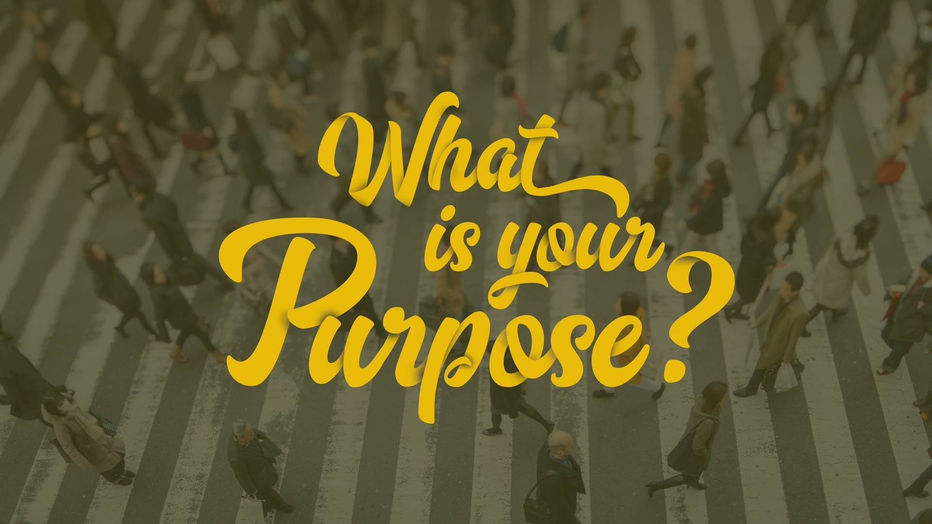 What Is Your Purpose? - Logos Sermons