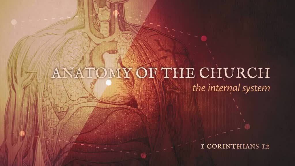 Anatomy of the Church: The Internal System (Part 1) - Logos Sermons