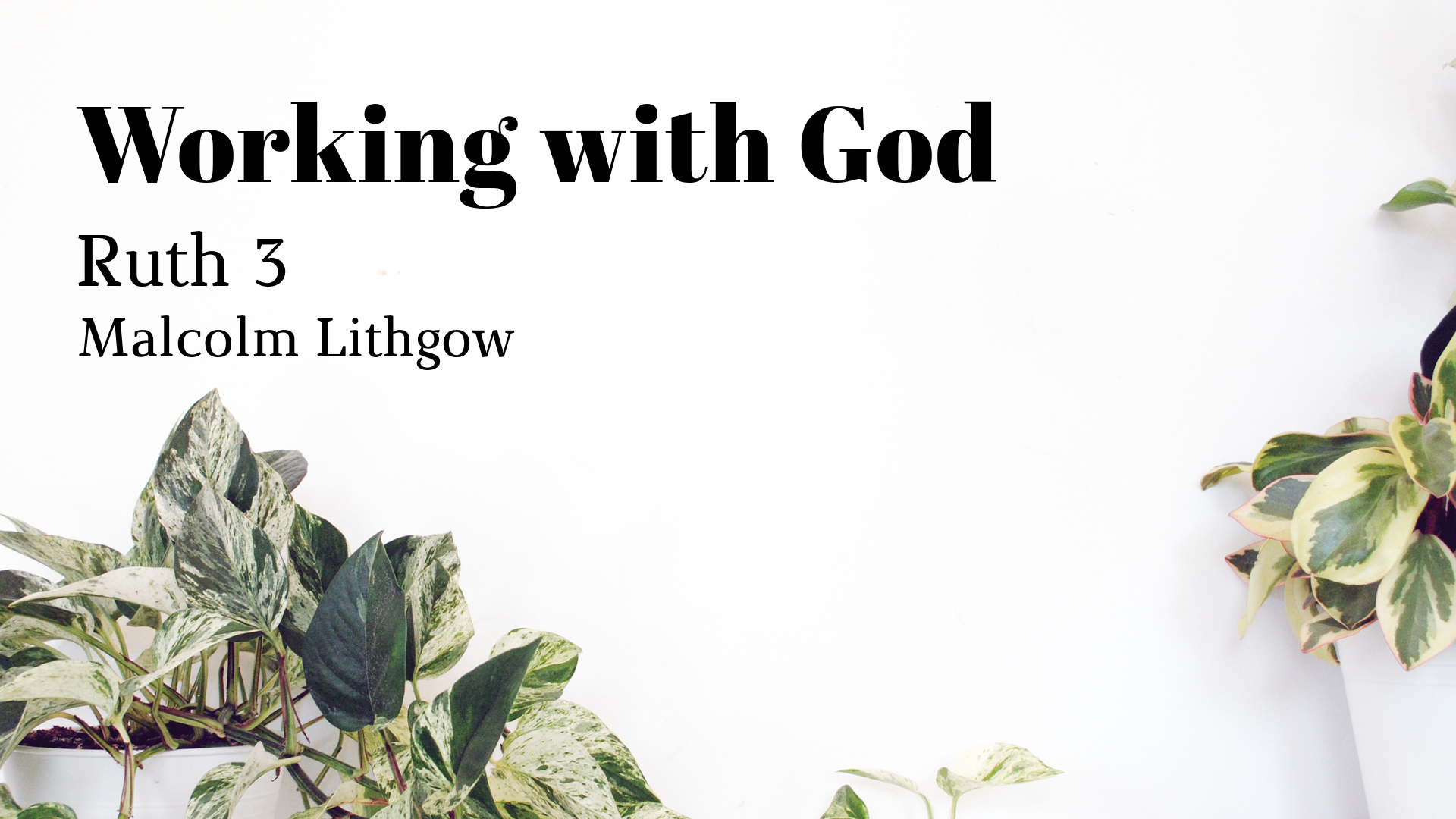Working with God--Ruth 3 - Logos Sermons