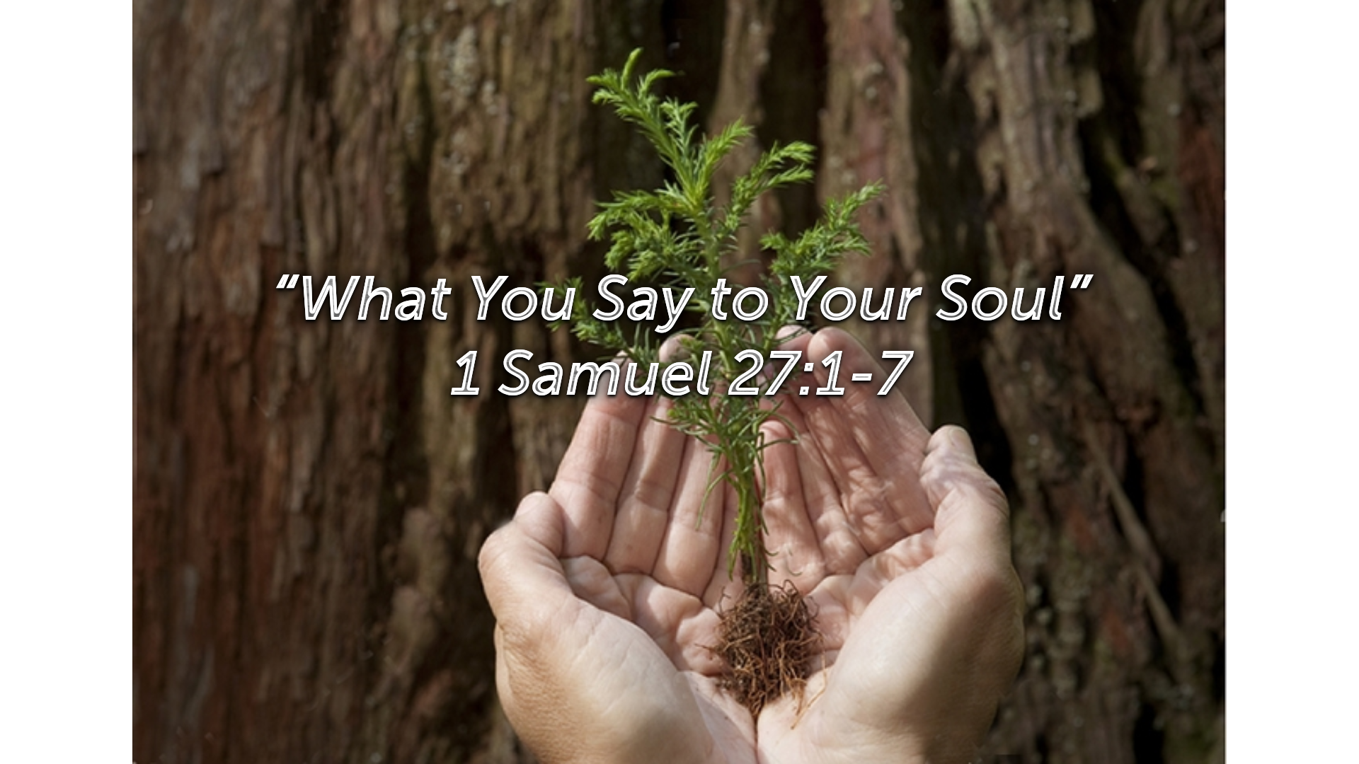 What You Say To Your Soul 1 Samuel 27 1 7 Logos Sermons