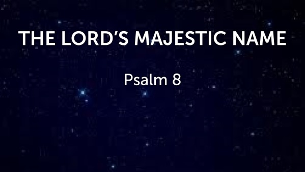 Nov 7 AM - Logos Sermons