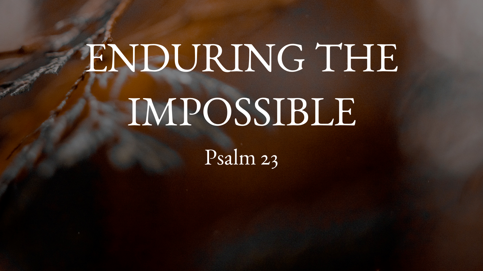 Enduring the Impossible - Logos Sermons