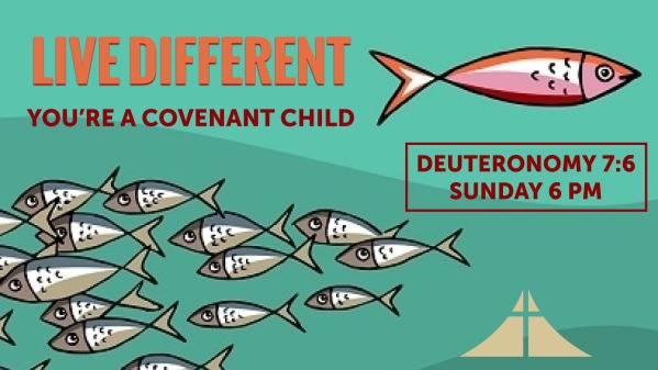 Live Different - Logos Sermons