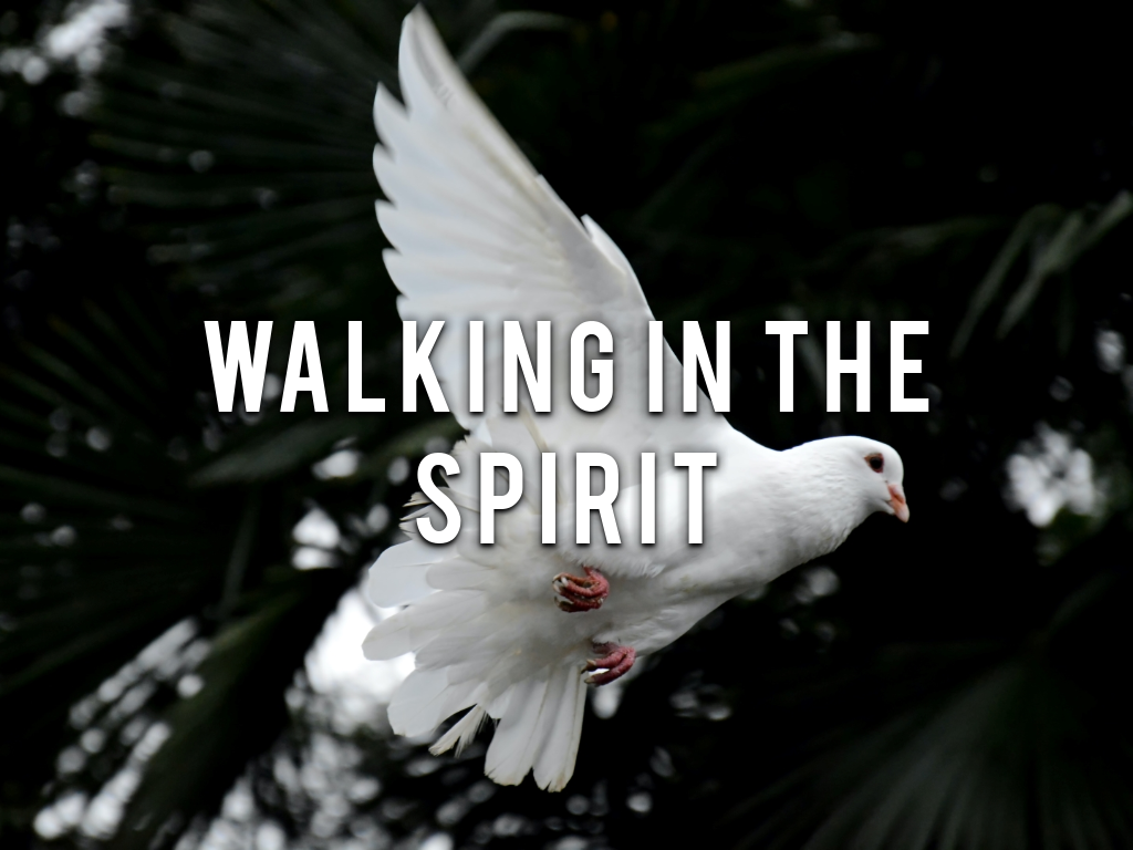 Walking in Spirit SUNPM Rev. Hill 12/5/21 - Logos Sermons