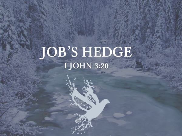 Job's Hedge - 1 John 3:20 - Logos Sermons