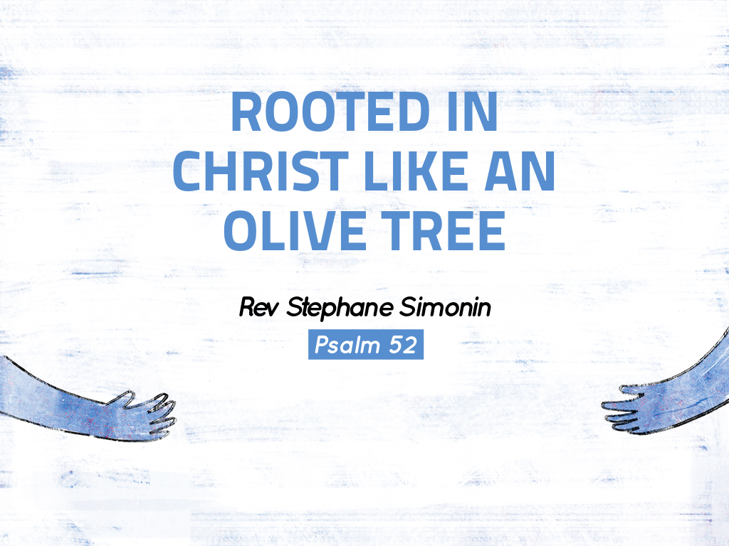 Rooted in Christ Like an Olive Tree - Logos Sermons