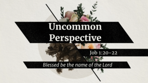863 - Uncommon Perspective - Logos Sermons