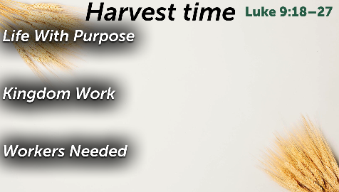 Harvest Time - Logos Sermons