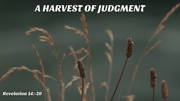 A Harvest Of Judgment 02 13 2022 - Logos Sermons