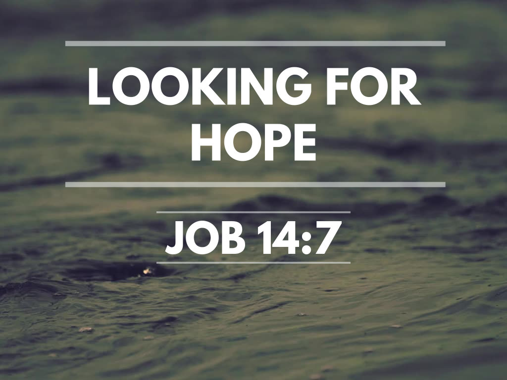 Looking For Hope Thur 2/17/2022 - Logos Sermons
