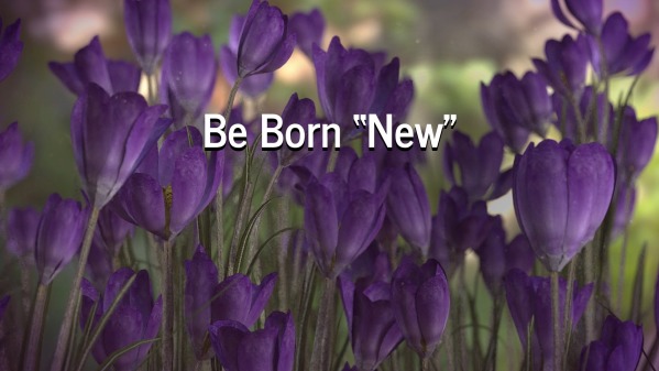 Be Born New - Logos Sermons