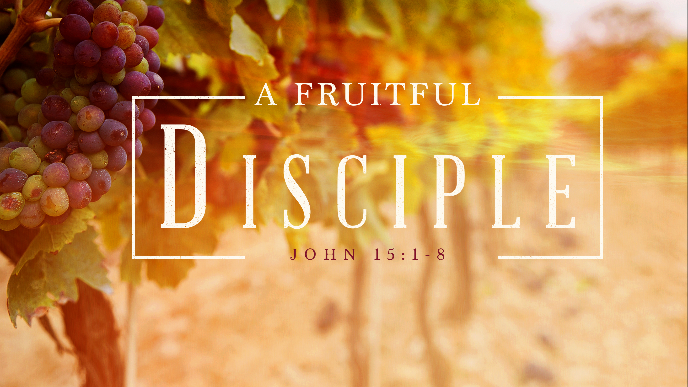A Fruitful Disciple - Logos Sermons