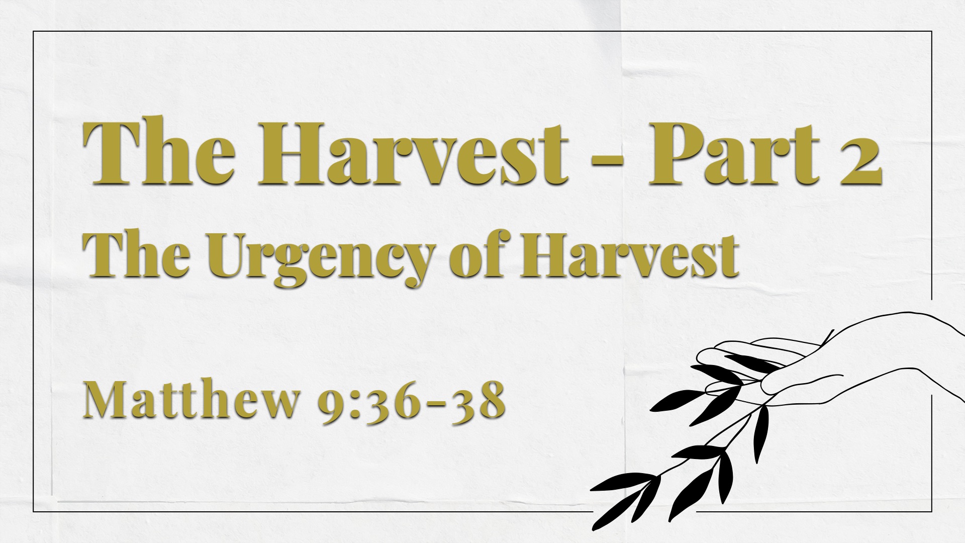 The Harvest, Part 2: The Urgency of Harvest - Mar. 13th, 2022 - Logos ... The Harvest, Part 2: The Urgency of Harvest - Mar. 13th, 2022 - Logos ...