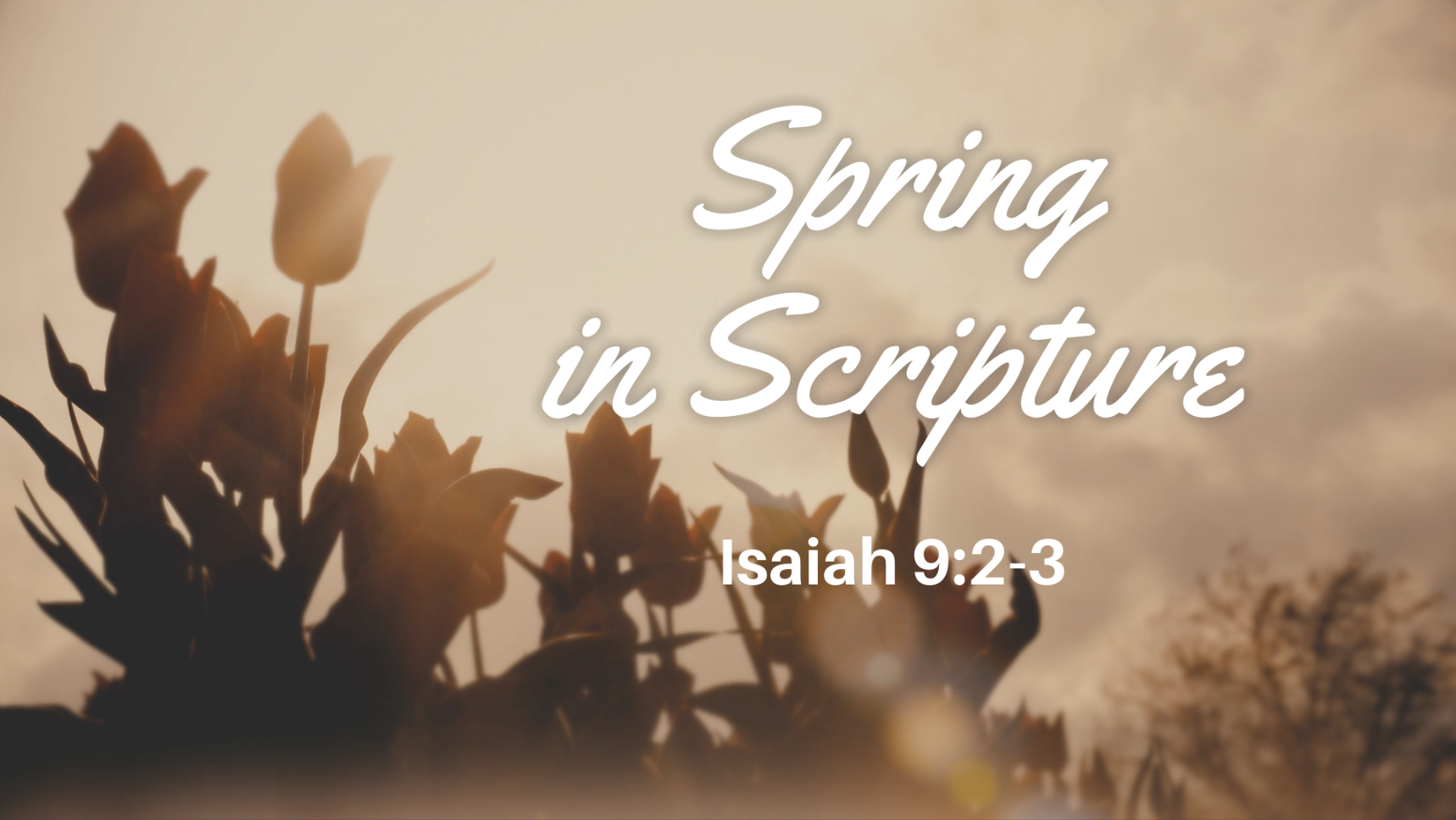 888- Spring in Scripture - Logos Sermons