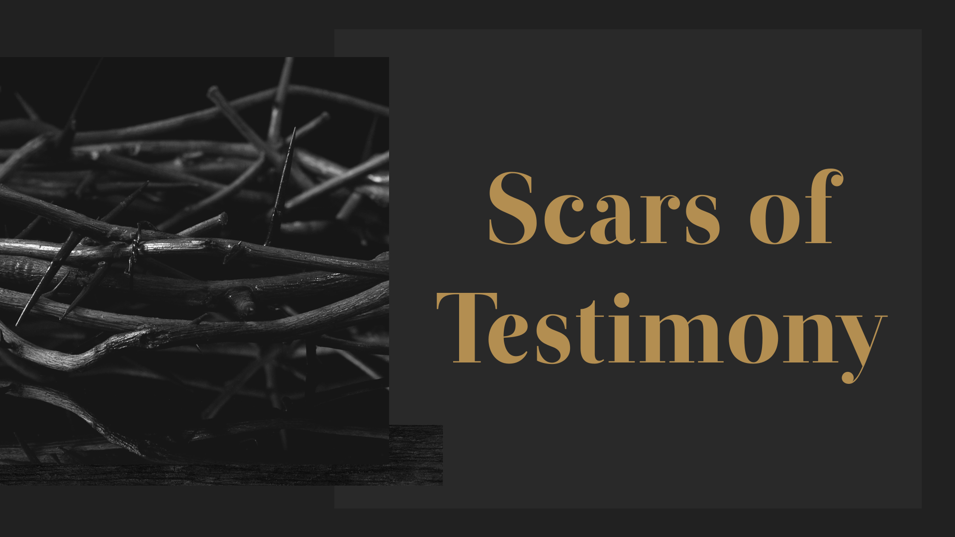 Scars of Testimony - Logos Sermons