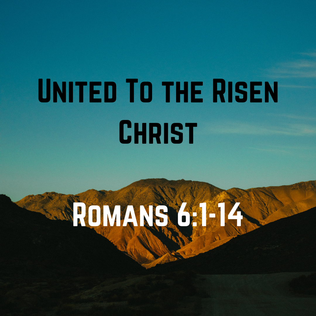 United to the Risen Christ - Logos Sermons
