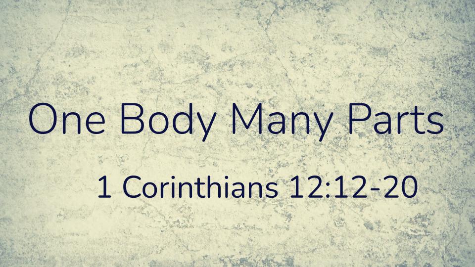 One Body Many Parts Logos Sermons