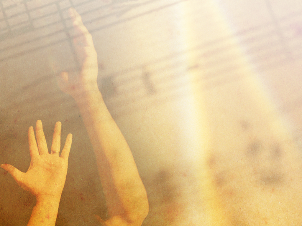 The Precious Person - Logos Sermons