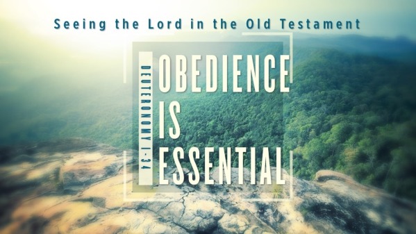03132022 Seeing the Lord in the OT: Deuteronomy: Obedience is Essential ...