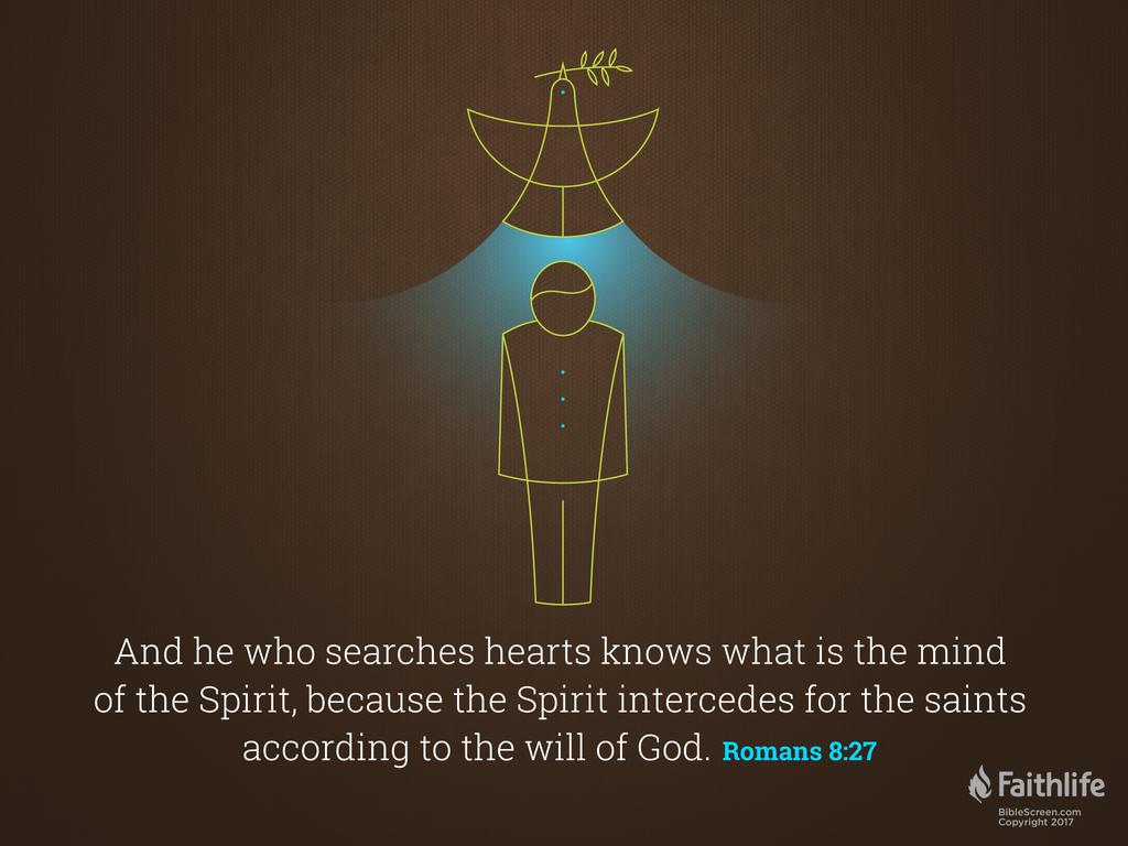 Home | Douglas Island Bible Church