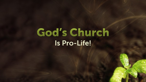 God's Church Is Pro-Life! - Logos Sermons