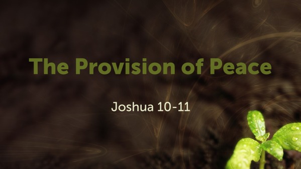 The Provision of Peace - Logos Sermons