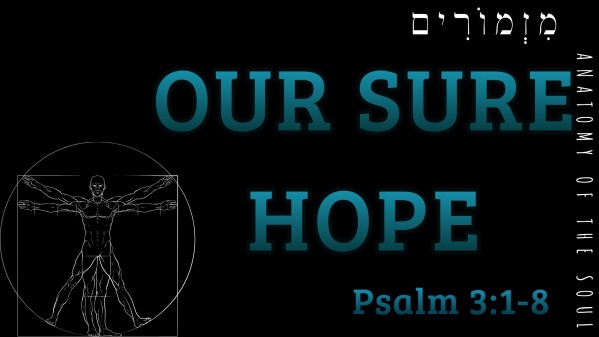Our Sure Hope: Psalm 3:1-8 - Logos Sermons