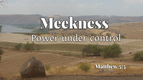 Meeknees - Power under conrol. - Logos Sermons