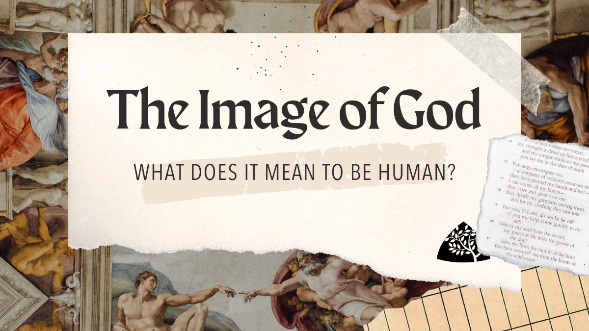 Gender Sexuality And The Image Of God Logos Sermons